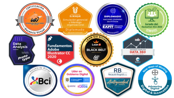 ¿Qué son las Insignias digitales?